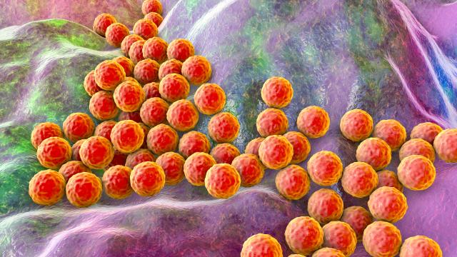 Healthcare-Associated Infections: Reportable Multidrug-Resistant ...