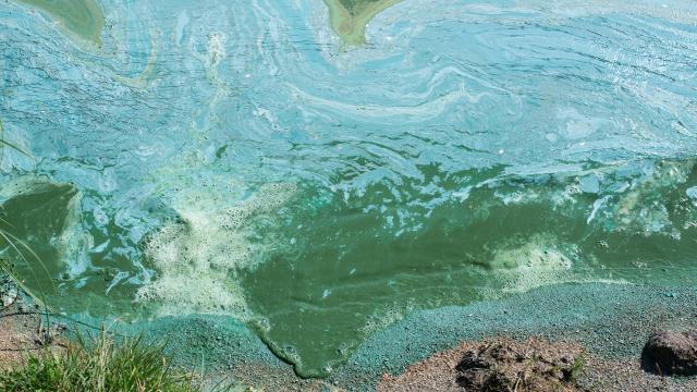 Waterborne Illnesses | Wisconsin Department of Health Services